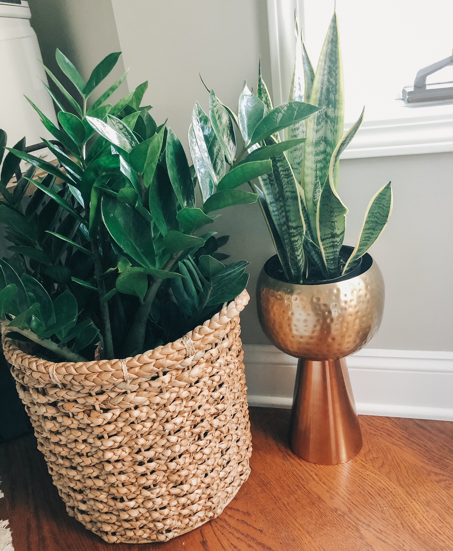 Basket Round Up - The Blooming Carrot
